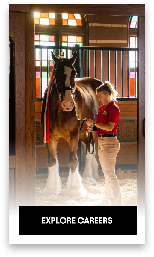 Home | Anheuser-Busch