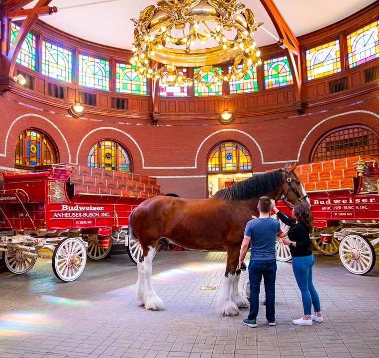 St. Louis, MO| Facilities | Anheuser-Busch