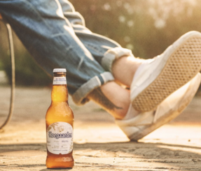 Brands | Anheuser-Busch