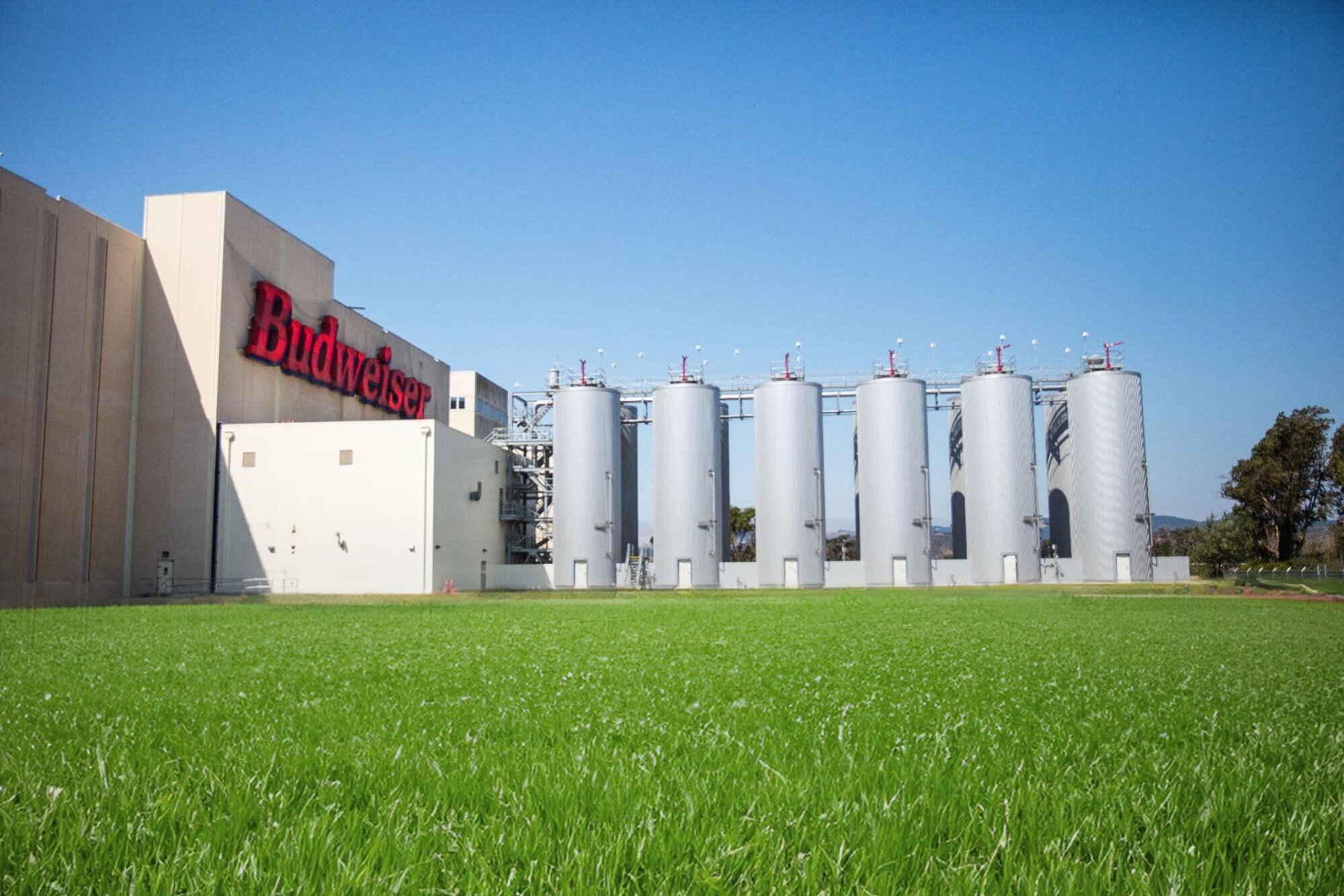 In The News | Anheuser-Busch