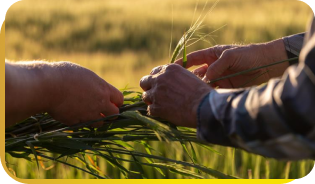 That's Who We Are | Anheuser-Busch