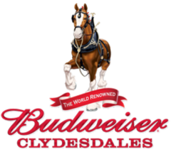 Budweiser Clydesdales