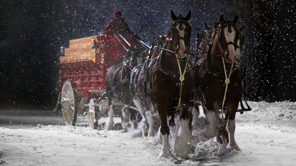 The Iconic Budweiser Clydesdales Deliver On-Screen Magic in Brand’s ...