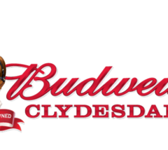 Budweiser Clydesdales