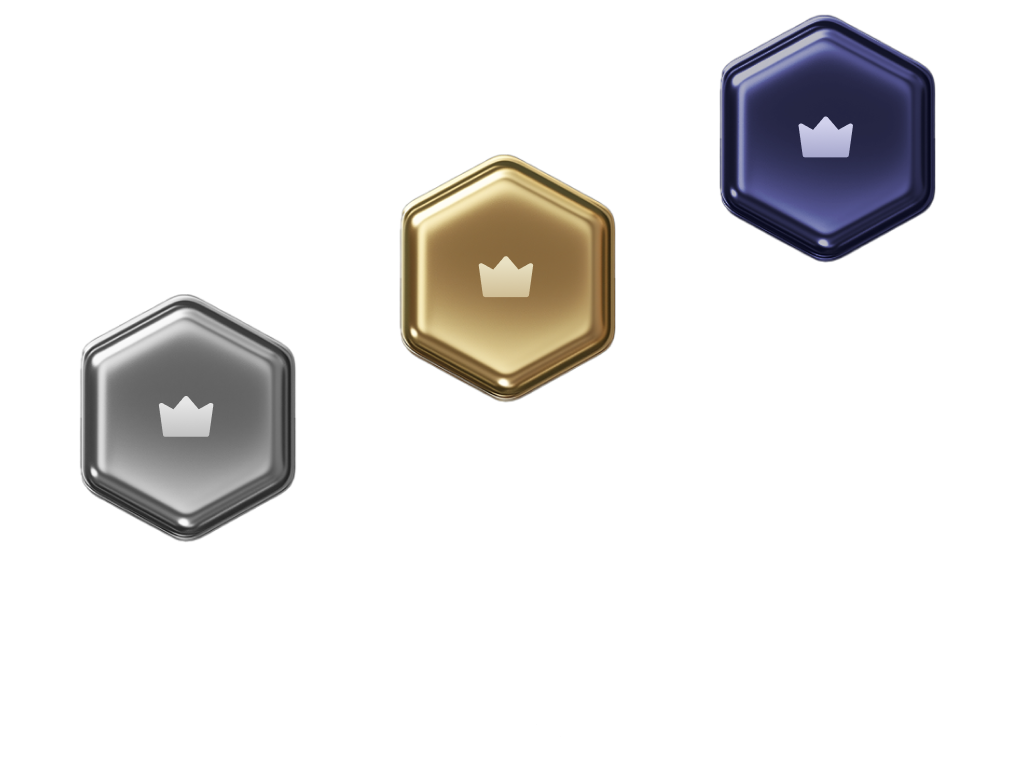 Fiverr Pro Business Rewards Program