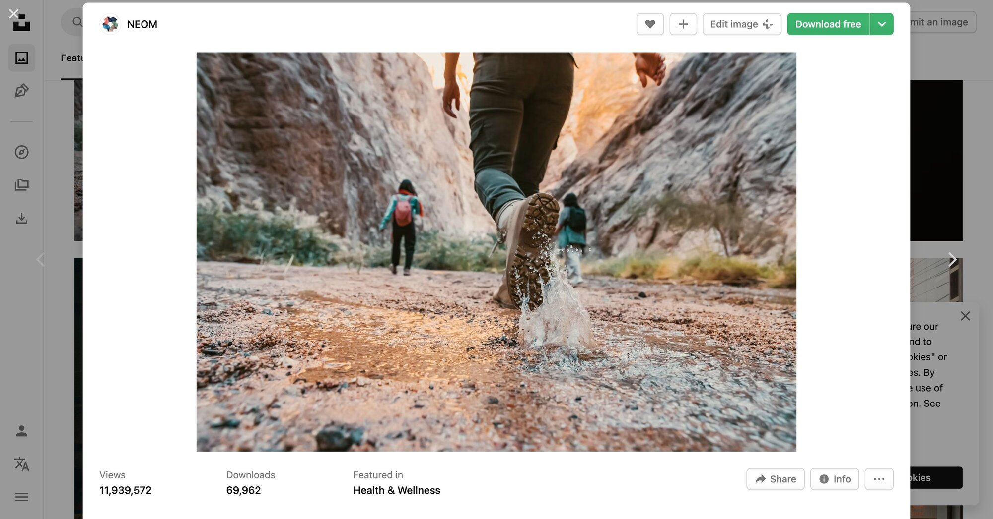 ChatGPT vs. DeepAI: How to Choose and Use Cases | Fiverr