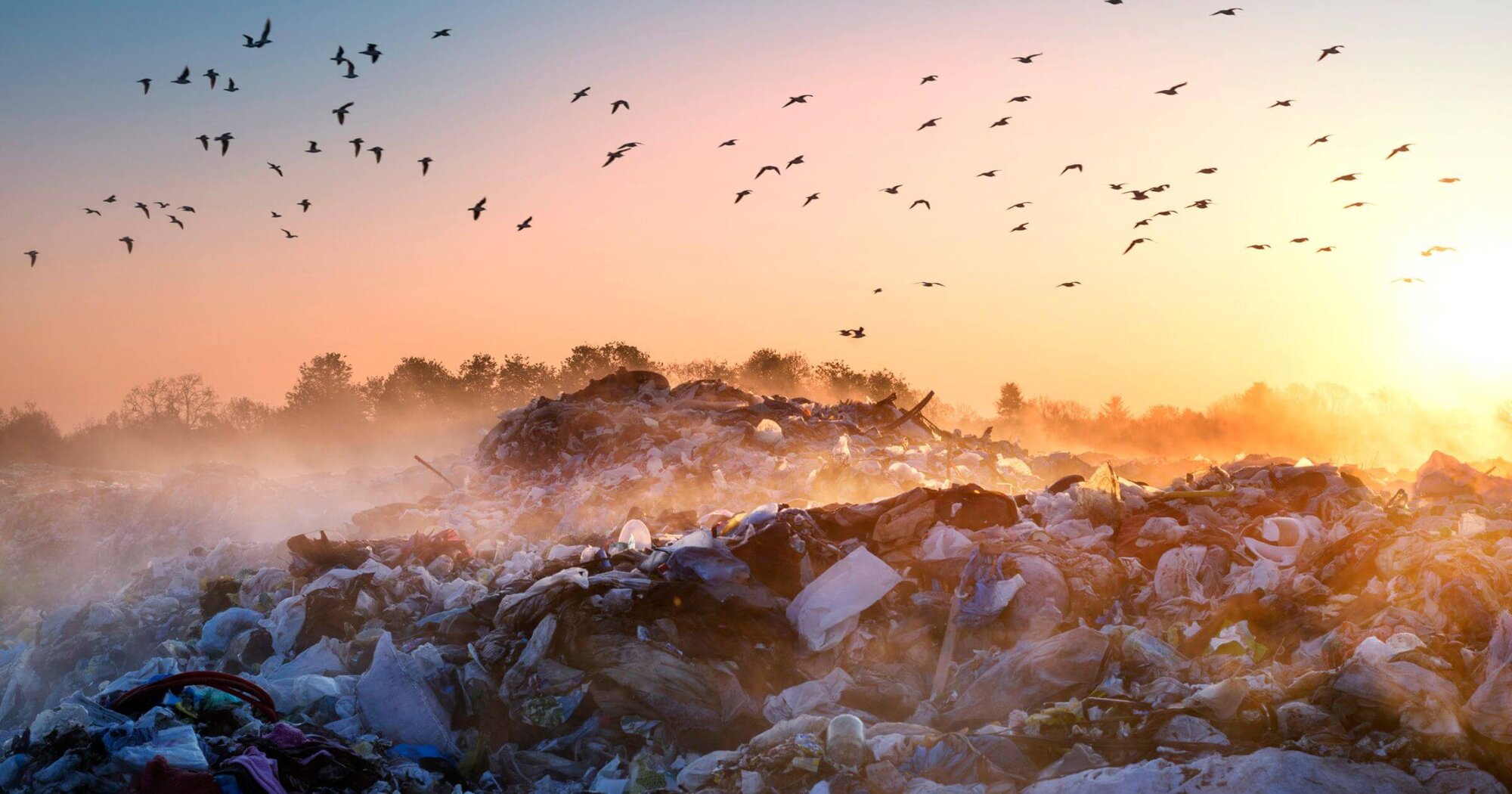 How Does Plastic Affect Human Health? | CleanHub