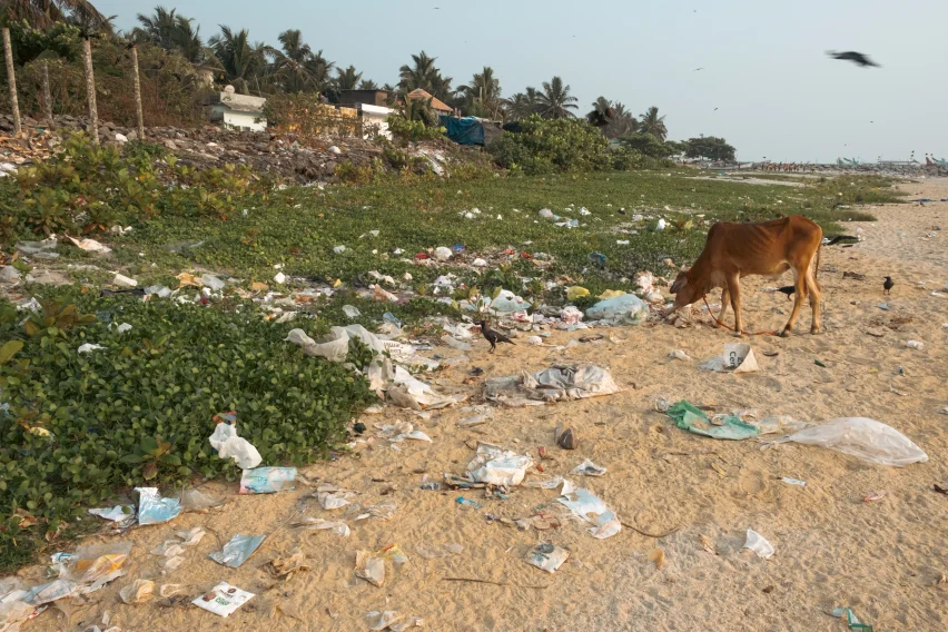 Everything You Need to Know About The Great Pacific Garbage Patch ...