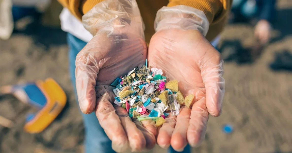 Microplastics Explained: What They Are, Why They Matter & What You Can ...