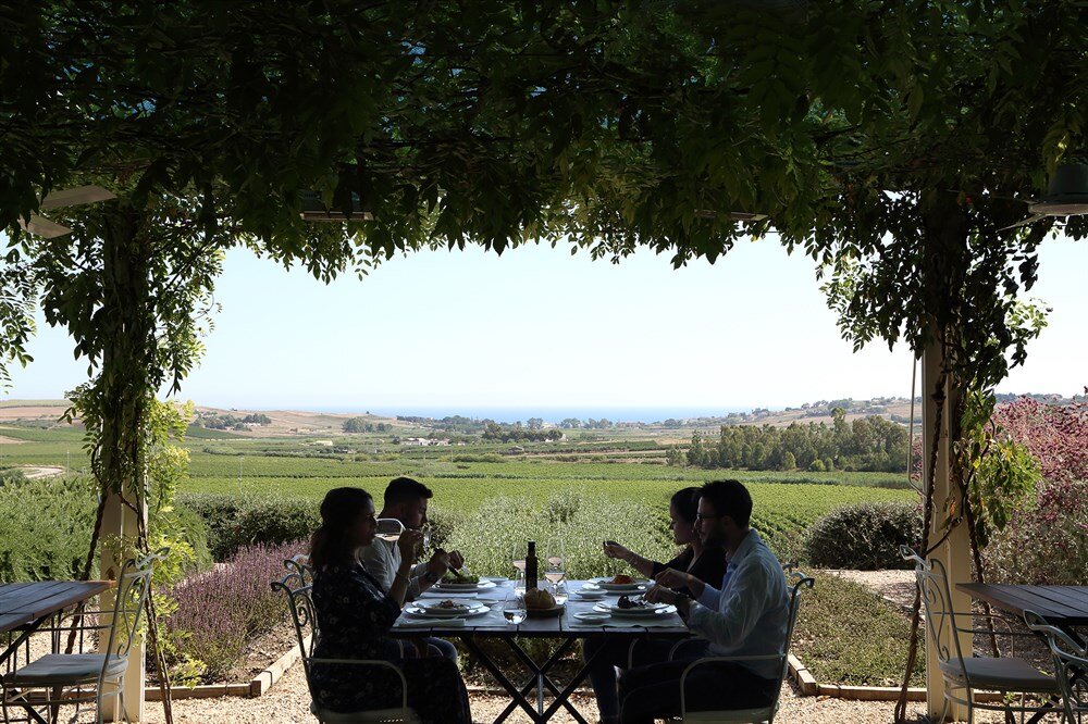 Wine Tasting Holidays | Mediterranean Wine Experiences Guide