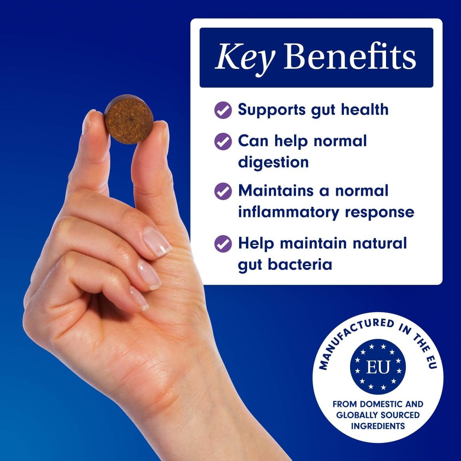 Probiotic Chews for Dogs | Support Gut Health | PetLab Co.