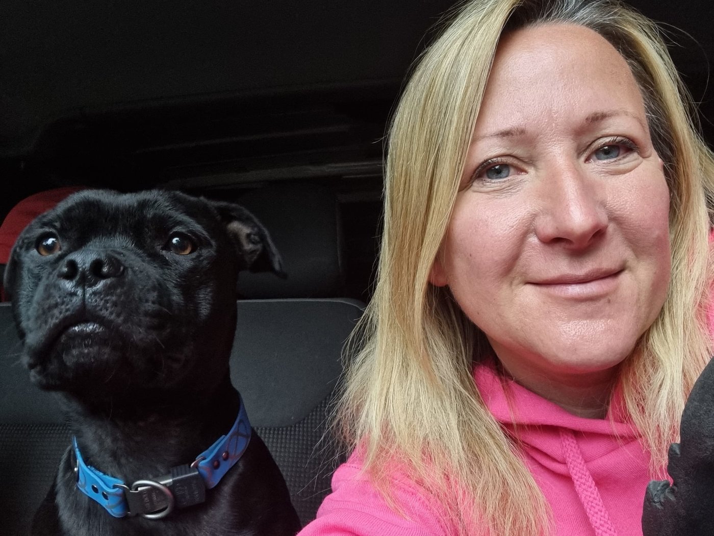 How to teach your dog the ‘Spin’ command | Different Dog