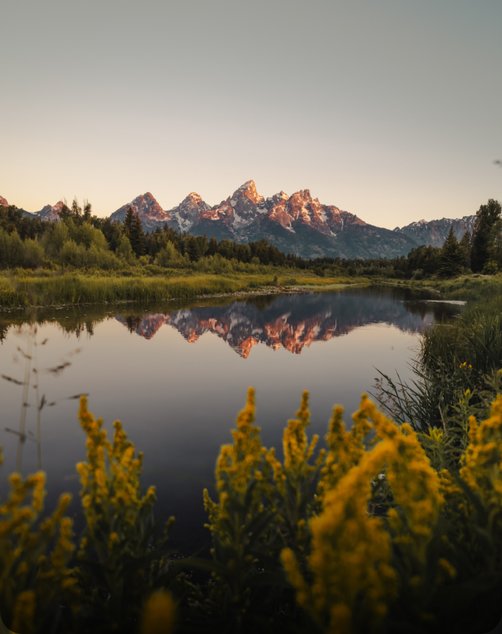 ShiftCam Global | World's Most Innovative Mobile Photography Gear