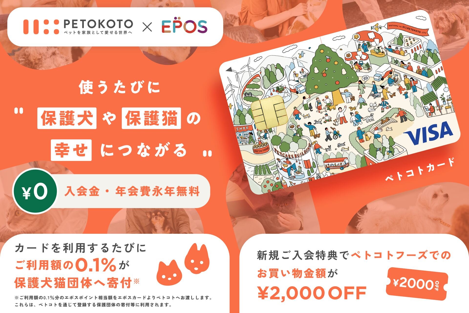 猫のトイレ環境をDIY！カバーや囲いを手作りした砂の飛び散り防止策も紹介 | ペトコト（PETOKOTO）