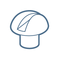 Machine Screw Size Chart & Head Types