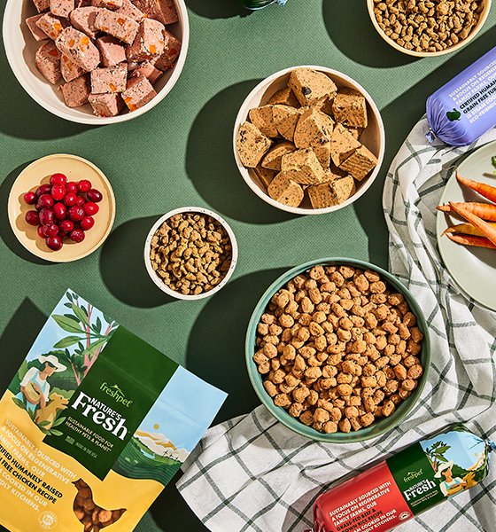 Freshpet® Homestyle Creations™ Pet Food – Freshpet