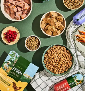 All Natural Dog Food - Fresh Food for Dogs - Freshpet