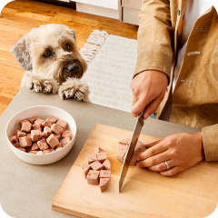 Freshpet Deli Fresh® Pet Food – Refrigerated Costco Dog Food