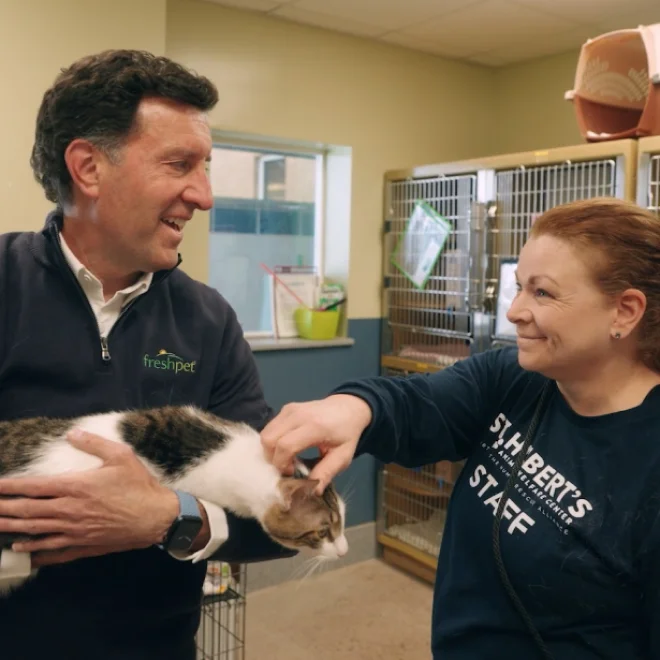 All Natural Dog Food - Fresh Food for Dogs - Freshpet