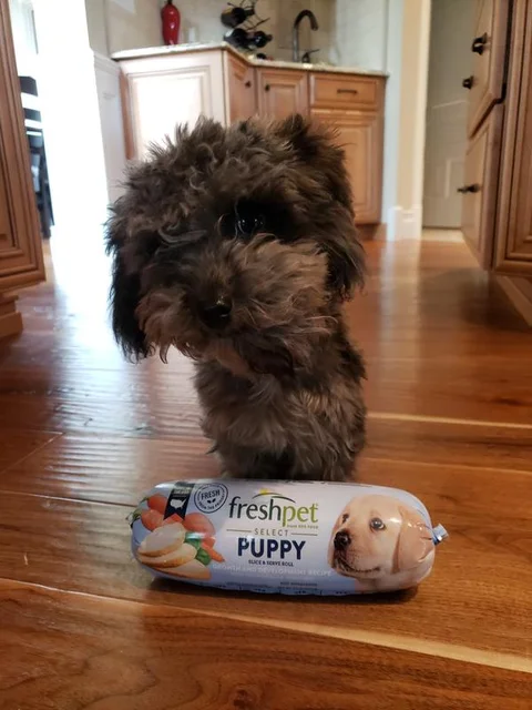 Freshpet Puppy Food - Fresh Food for Puppies