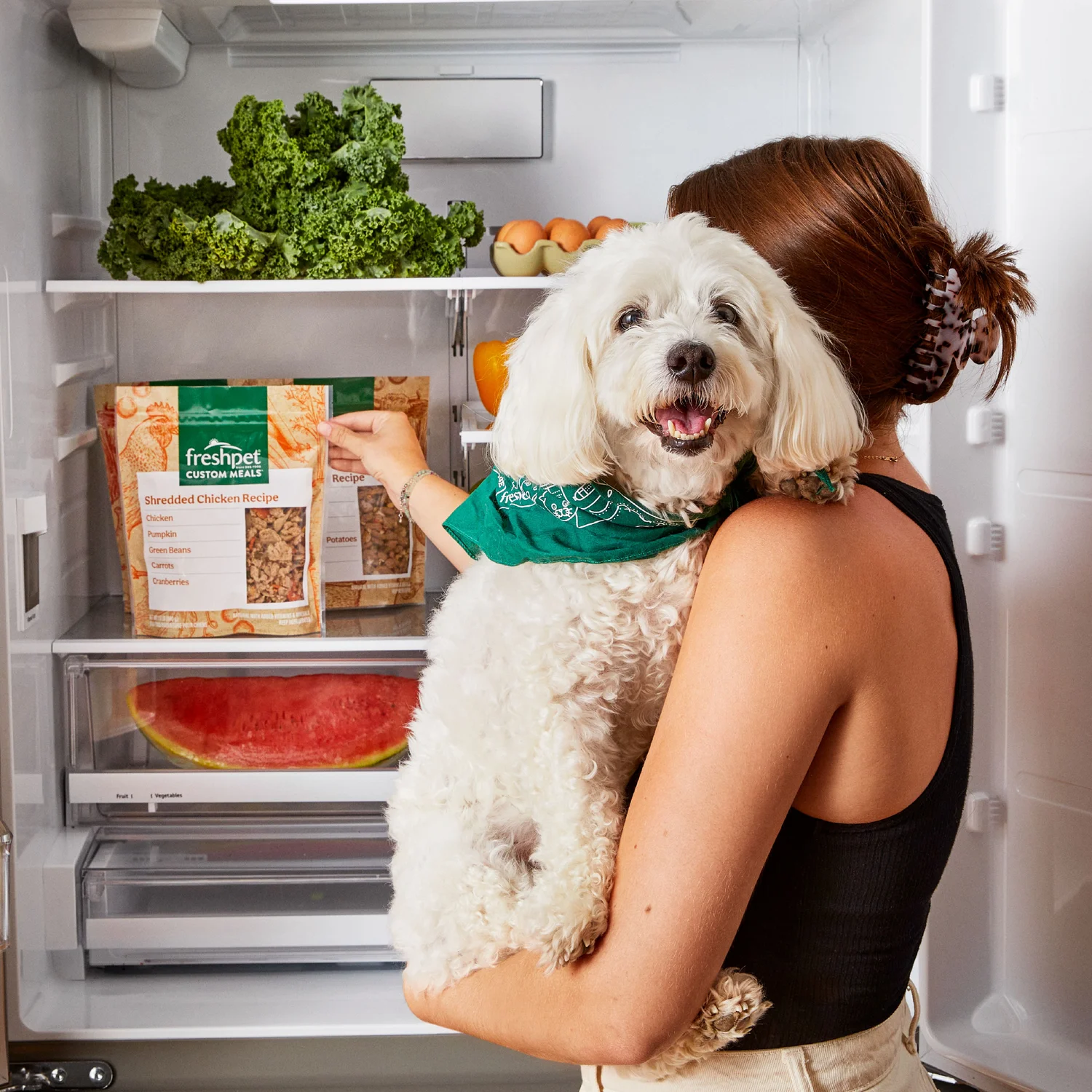 All Natural Dog Food - Fresh Food for Dogs - Freshpet