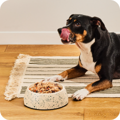 Dog Food - Fresh Food for Dogs - Freshpet