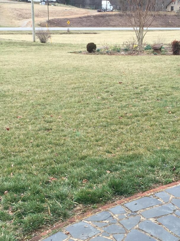 Lebanon Turf Products