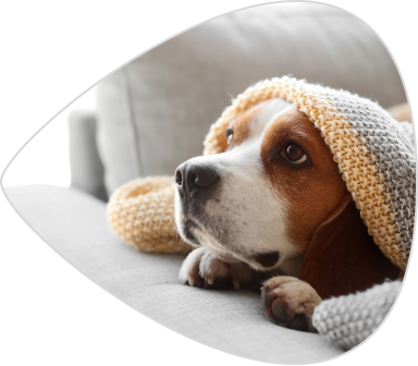 How It Works | GiftYa