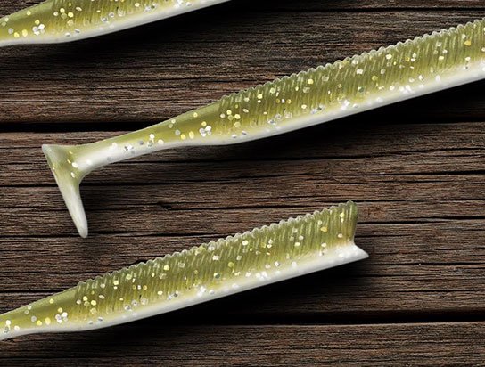 Explore Your Passion | Catch Co