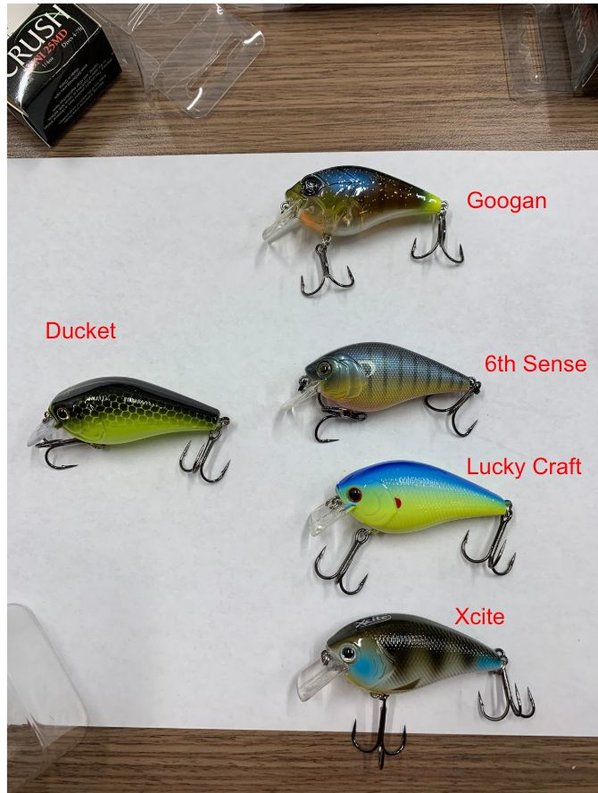 Catch Co. Responds To False Accusations - Catch Co.
