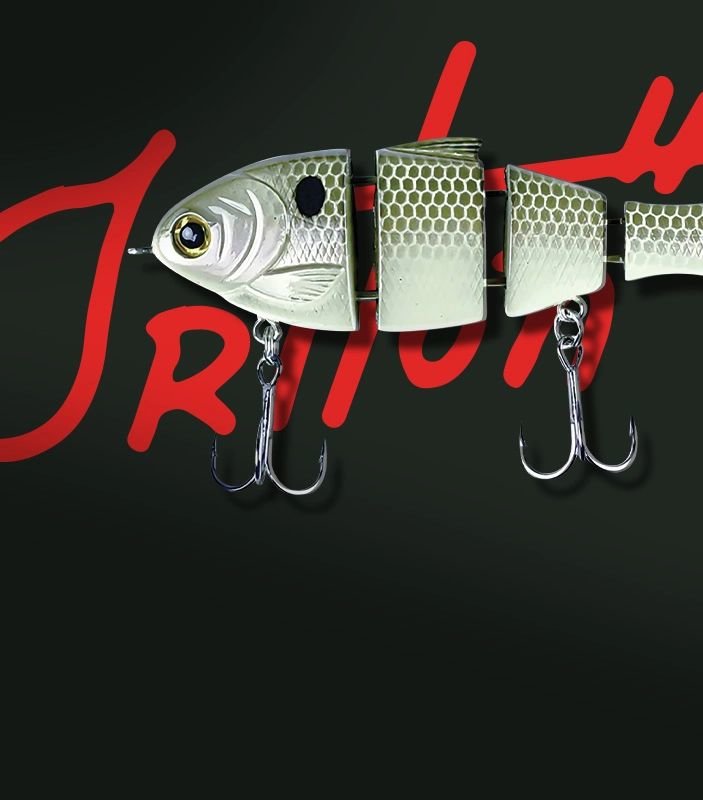 Explore Your Passion - Catch Co.