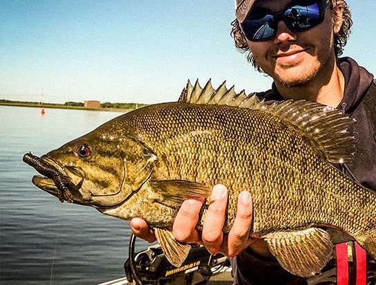 10,000 Fish - Catch Co.