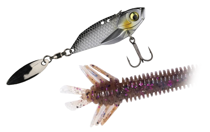 10,000 Fish - Catch Co.