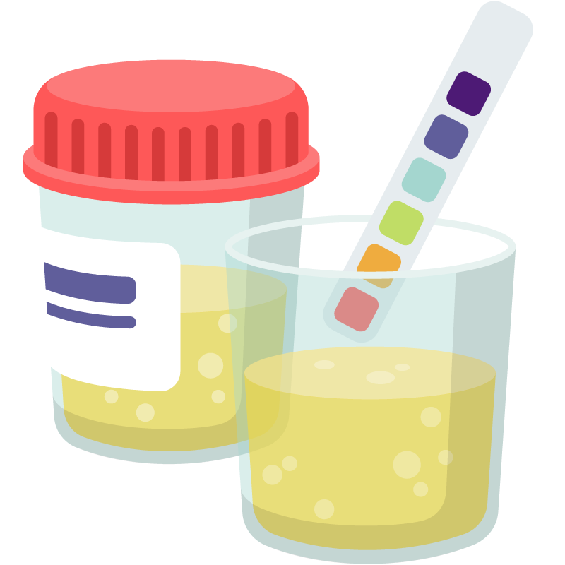 Was ist Albumin und warum ist der Wert wichtig? | Oska Health