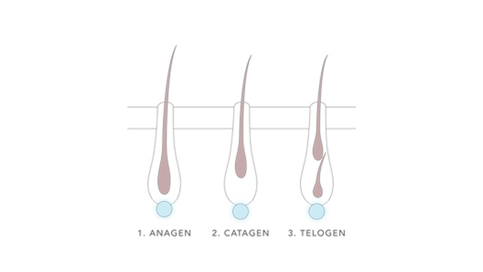 Understanding COVID-19 Hair Loss | Actiiv – Actiiv Hair Science
