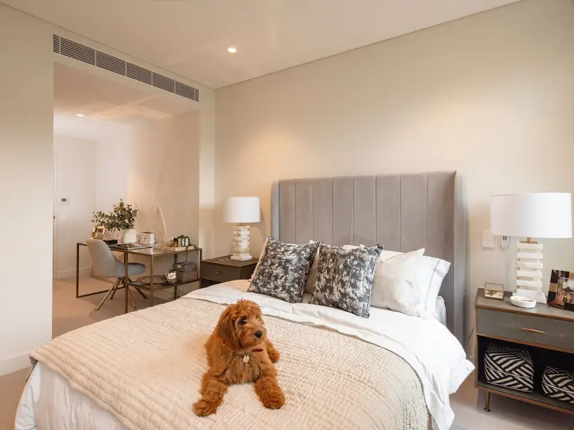 Stamp duty incentives for Downsizers in Australia | Downsizer