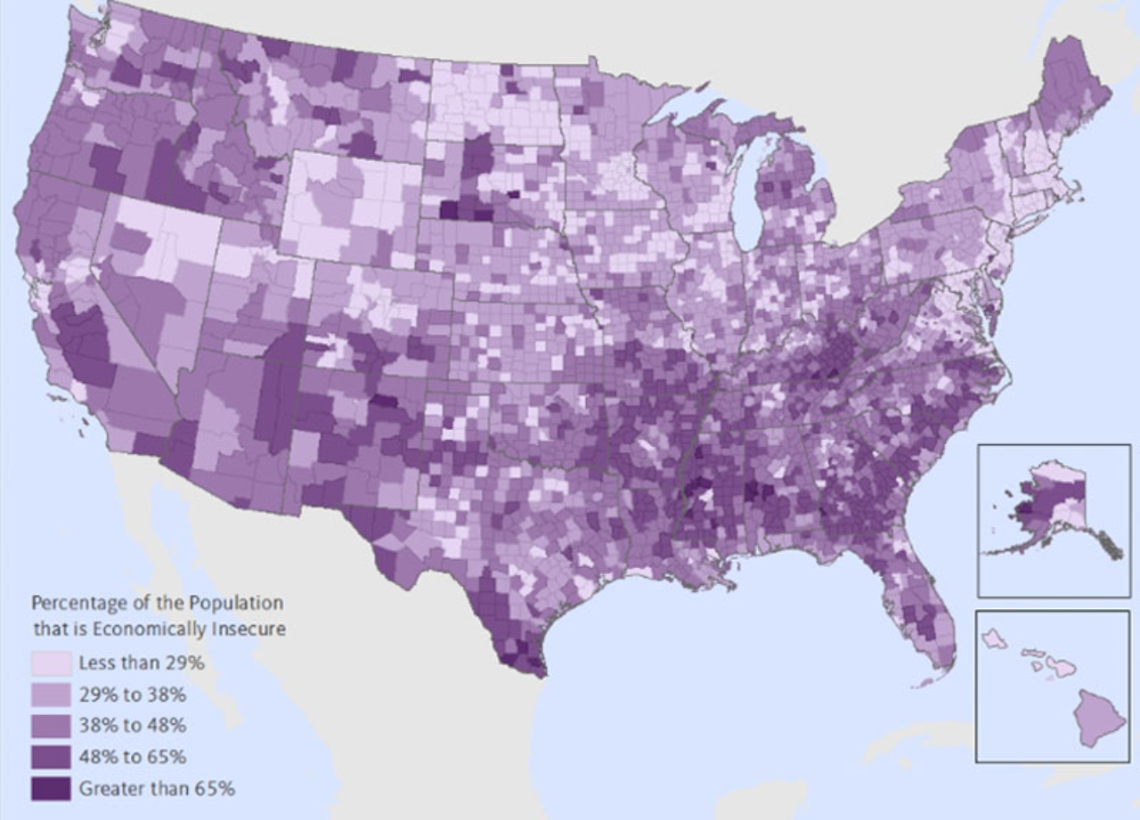 100 million and counting: A portrait of economic insecurity in the ...