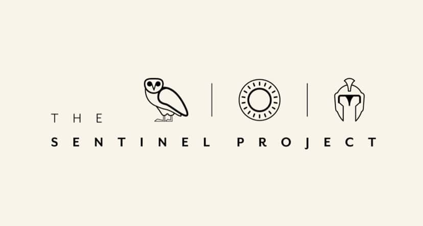 A Turbulent Spring: The First Three Months of Sentinel Reports from a ...