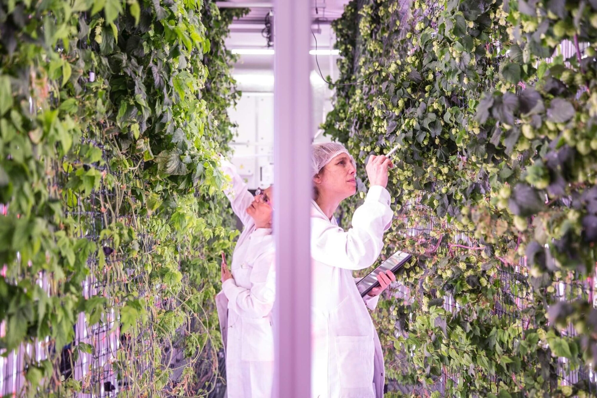 Record number of startups join the 100+ Accelerator to help address global sustainability ...