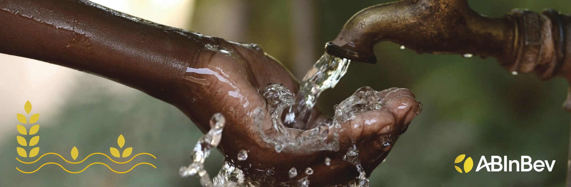 5 ways AB InBev is helping address global water challenges | AB InBev