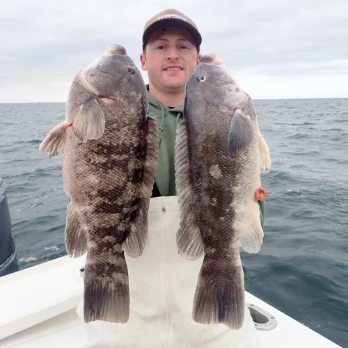 Tog Rigs 101 | TackleDirect