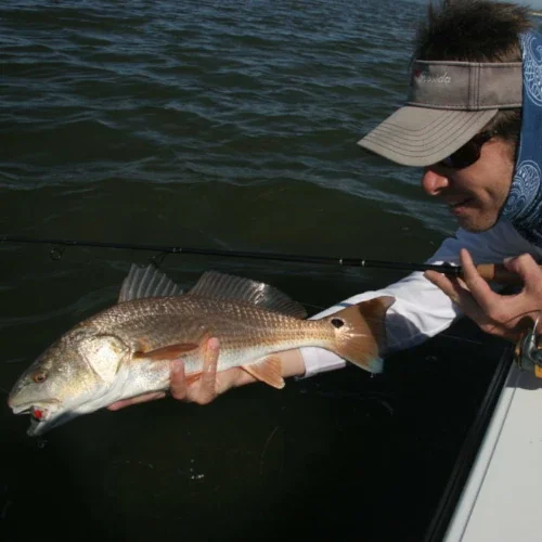 Cold Water Redfish | TackleDirect
