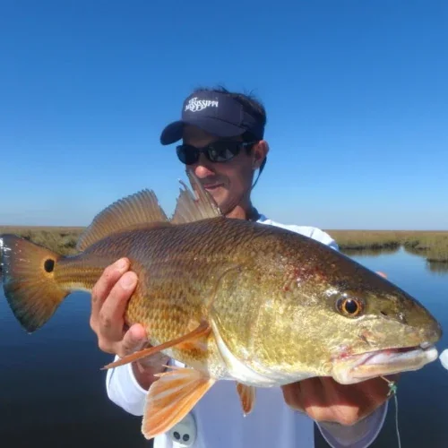 Cold Water Redfish | TackleDirect