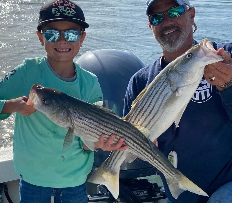 Fall Migration of Striped Bass - TackleDirect
