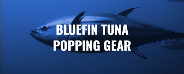 Fishing Tackle, Lures, Reels, Rods, Gear, Fly | TackleDirect