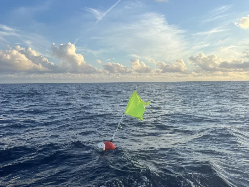 Pumpkin Swords - TackleDirect