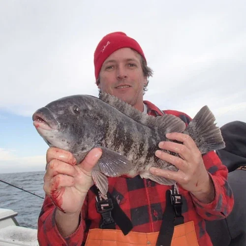 Tog Rigs 101 | TackleDirect