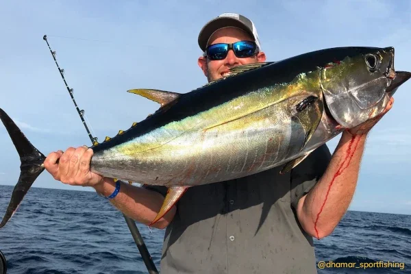 Best Tackle for Tuna Chunking - TackleDirect