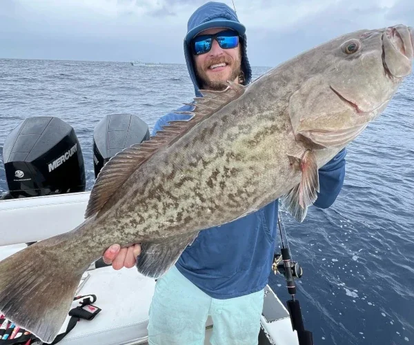Grouper Fishing in Florida | TackleDirect