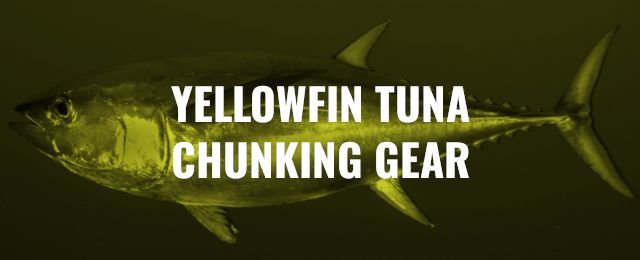 Fishing Tackle, Lures, Reels, Rods, Gear, Fly | TackleDirect